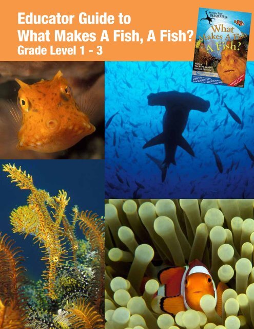 Educator Guide to What Makes A Fish, A Fish? - Annie Crawley