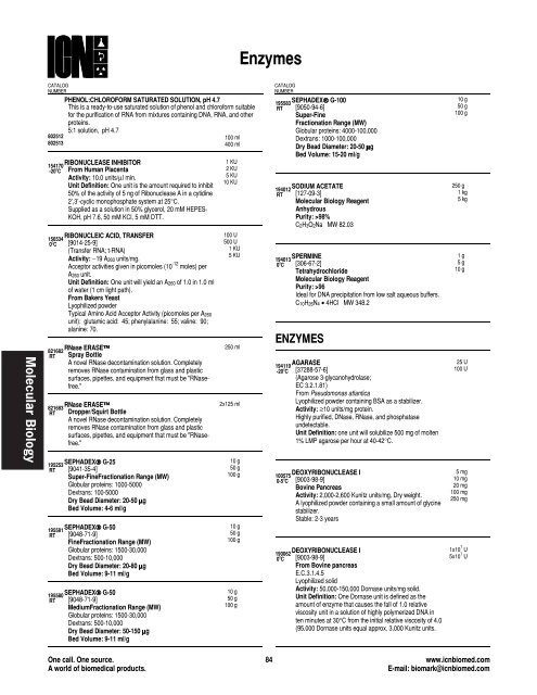 Restriction Enzyme Definition Function Types Britannica 48 Off