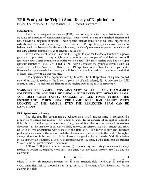 EPR Study of the Triplet State Decay of