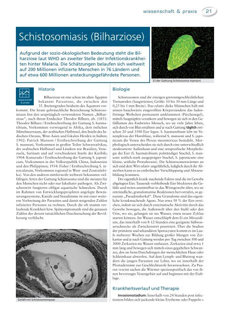 Schistosomiasis (Bilharziose) - biomed-austria