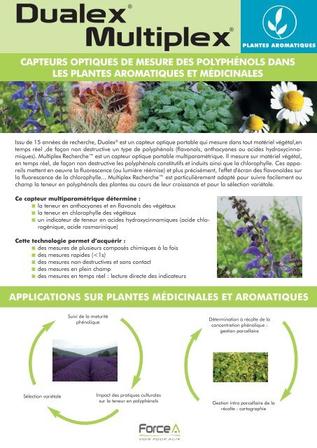 Multiplex Dualex - Force-A