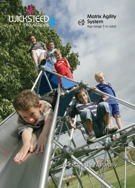 Matrix Agility System