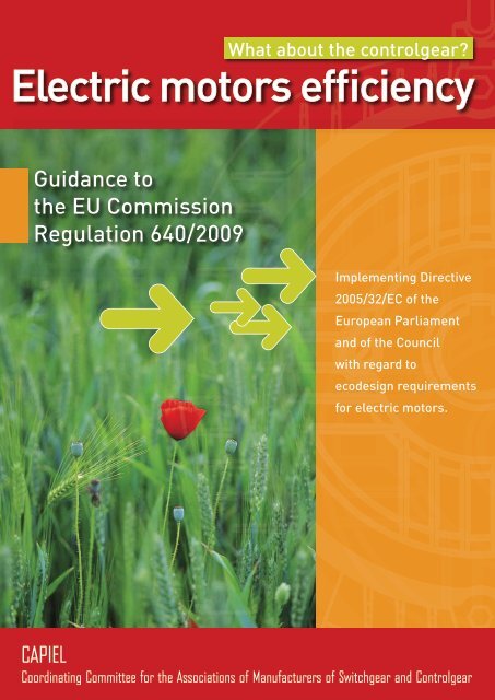 Electric motors efficiency - CAPIEL