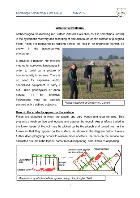 Cambridge Archaeology Field Group May 2012 What is fieldwalking ...