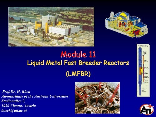 12 Liquid Metal Fast Breeder Reactors (LMFBR) - Atominstitut