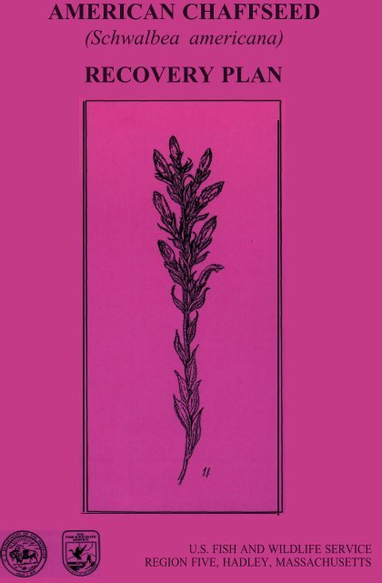 AMERICAN CHAFFSEED RECOVERY PLAN - Herbarium