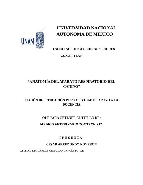 UNIVERSIDAD NACIONAL AUTÃ NOMA DE MÃ XICO - UNAM