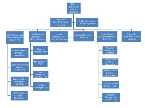 Chief Executive Officer-