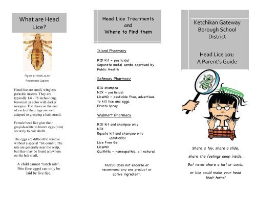 lice pamphlet