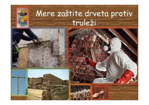 Mere zastite drveta protiv trulezi.pdf