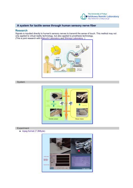 A system for tactile sense through human sensory nerve fiber ...