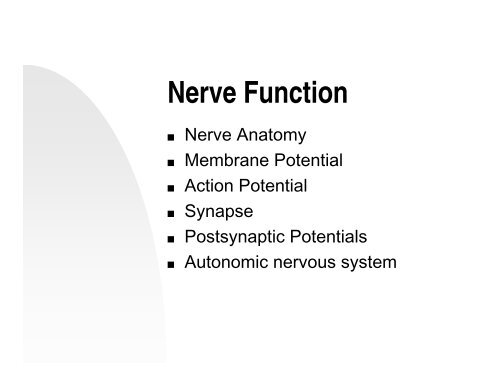 Nerve Function