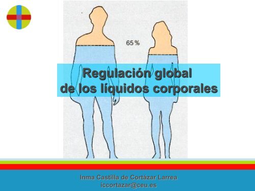 Regulacion Global De Los Liquidos Corporales Veoapuntes