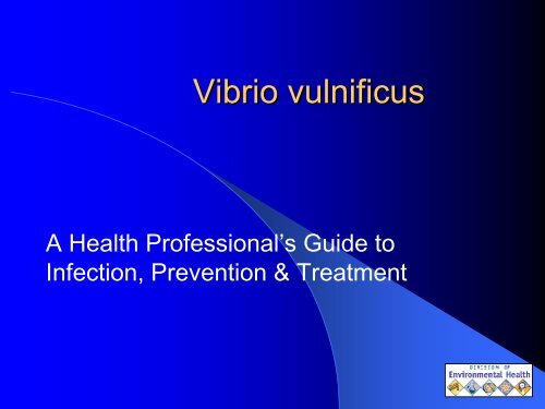 Vibrio vulnificus: A Health Professional's Guide to Infection ...