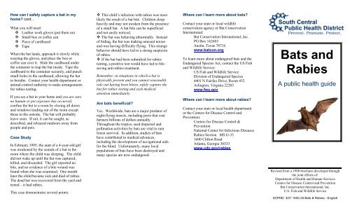 Bats and Rabies Brochure