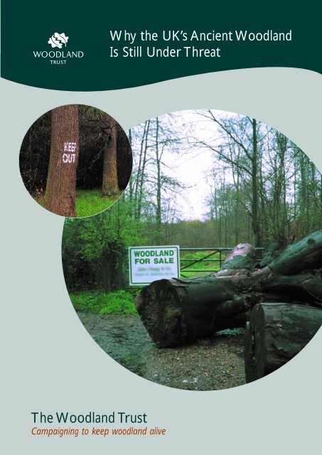 Ancient Woodland Threats - Woodland Trust