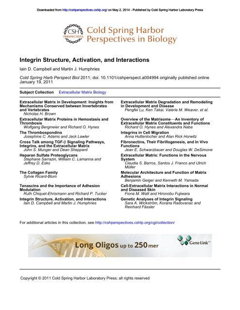 Integrin Structure, Activation, and Interactions - Cold Spring Harbor ...