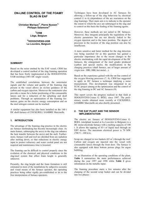 ON-LINE CONTROL OF THE FOAMY SLAG IN EAF