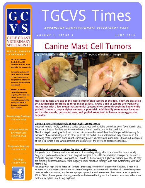 MCT layout clients - Gulf Coast Veterinary Specialists