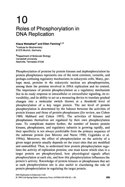 Roles of Phosphorylation in DNA Replication - DNA Replication and ...
