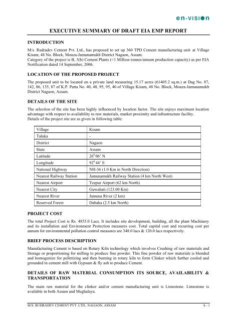 en- V I S I•n EXECUTIVE SUMMARY OF DRAFT EIA EMP REPORT