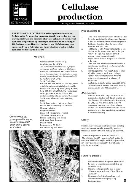 Cellulase production - National Centre for Biotechnology Education