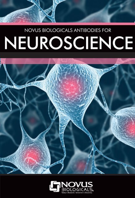 NOVUS BIOLOGICALS ANTIBODIES FOR