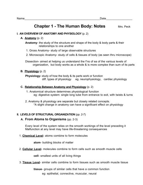 Anatomy And Physiology Chapter 1 Study Guide Pdf Winfred Leung