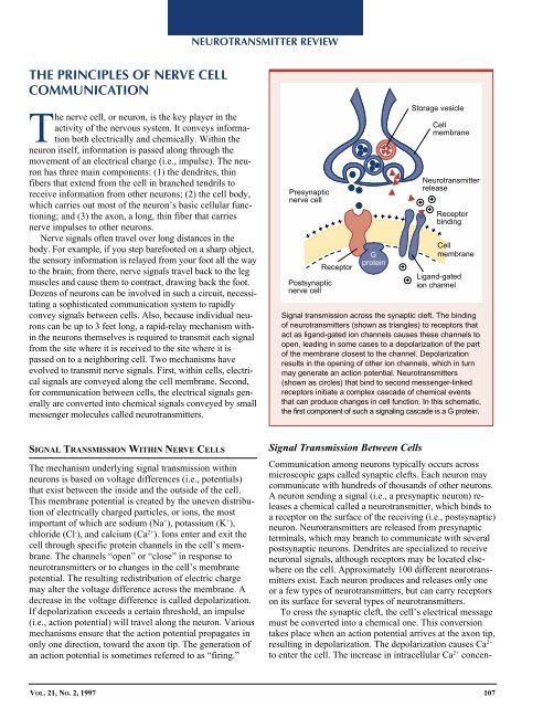 The Principles of Nerve Cell Communication