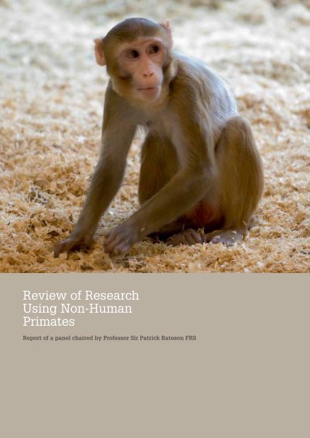 Review of Research Using Non-Human Primates - Wellcome Trust