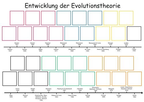 Zeitstrahl (LÃ¶sung) und Concept Map - Evolution of life