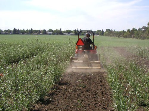 Short Rotation Woody Crops: Developing a Bioenergy Program in ...