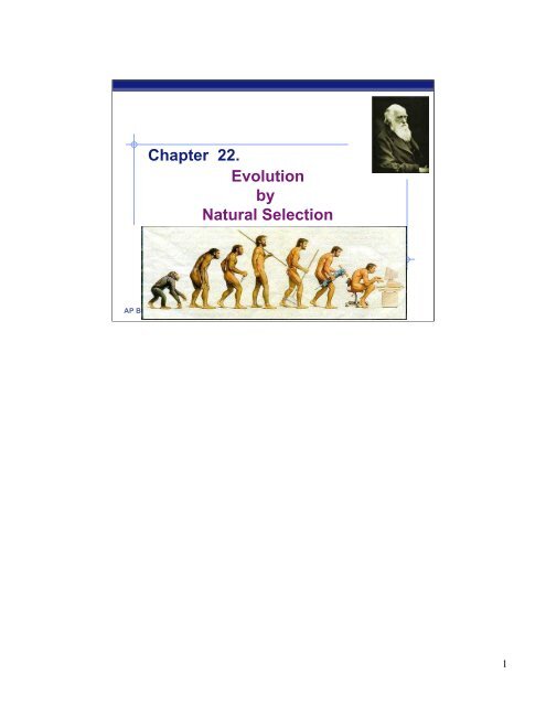 Chapter 22. Evolution by Natural Selection - Explore Biology