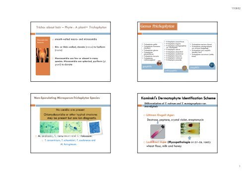 Kaminski's Dermatophyte Identification Scheme