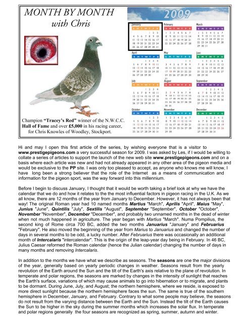 Article 1 Parky - Elimar Pigeon Services