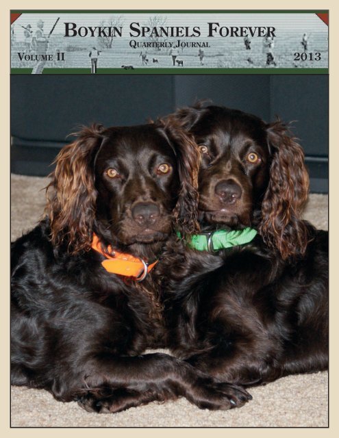 Does The Boykin Spaniel Have Canine Parvovirus
