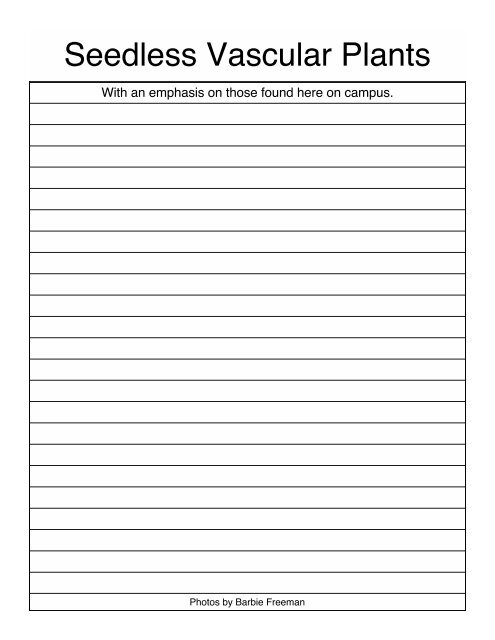 "Seedless Vascular Plants" handout