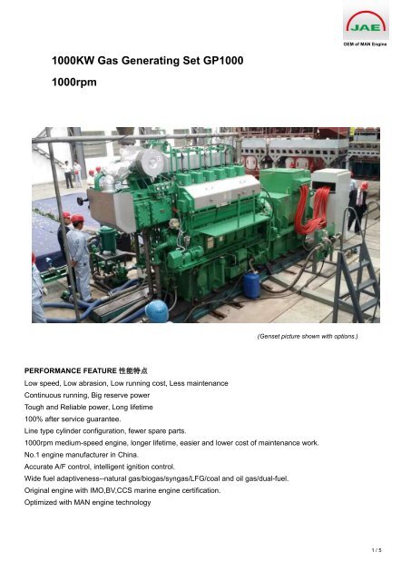 GP1000 GAS GENERATOR SET
