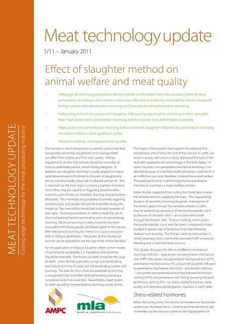 Effect of slaughter method on animal welfare and ... - Beef Central