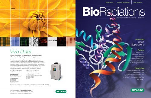 Bio Rad 10x Tbs Recipe | Bryont Blog