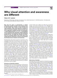 Mindful Attention Awareness Scale