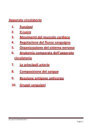 sistema muscolare - laura condorelli