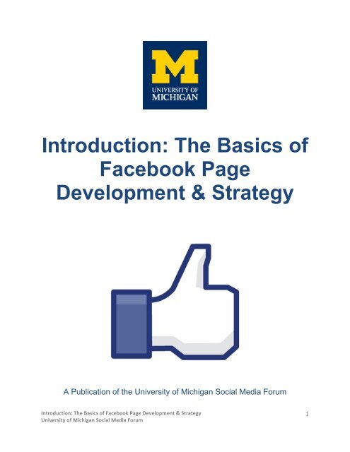 Introduction: The Basics of Facebook Page Development & Strategy