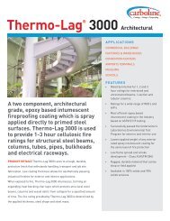 Thermo-Lag 3000-SP PDS Fireproofing - Carboline