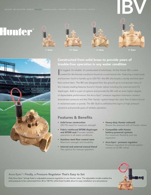 IBV Brochure - Hunter Industries