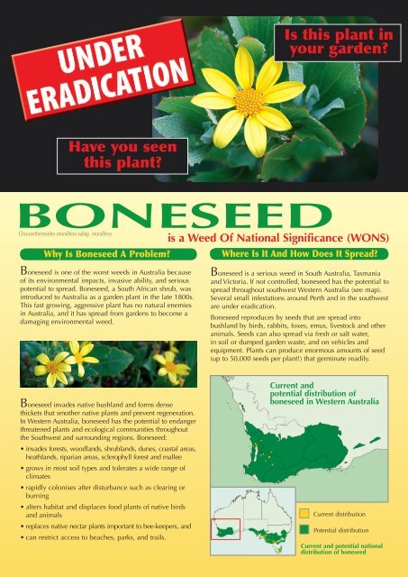 BONESEED - Weeds Australia