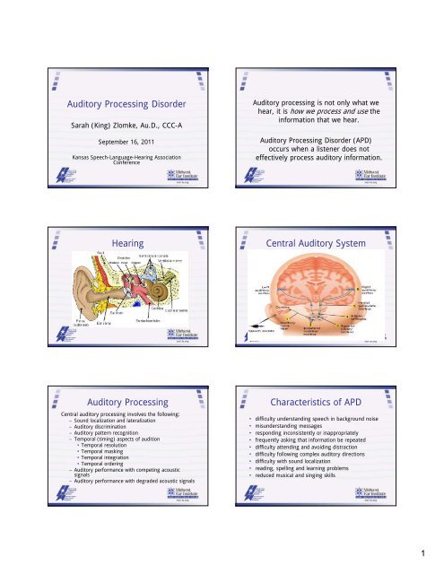 auditory processing disorder and expressive language