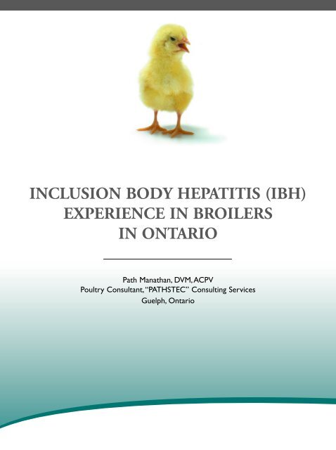inclusion body hepatitis (ibh) - Canadian Poultry Consultants Ltd