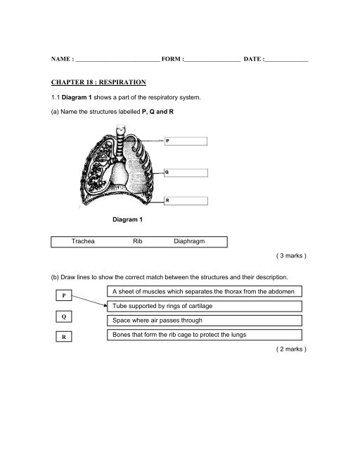 CHAPTER 18 : RESPIRATION