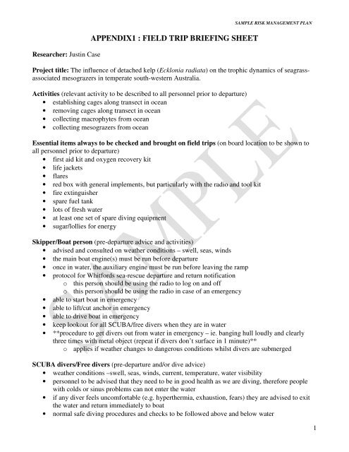 Example 4 - Appendix 1 - Briefing sheet